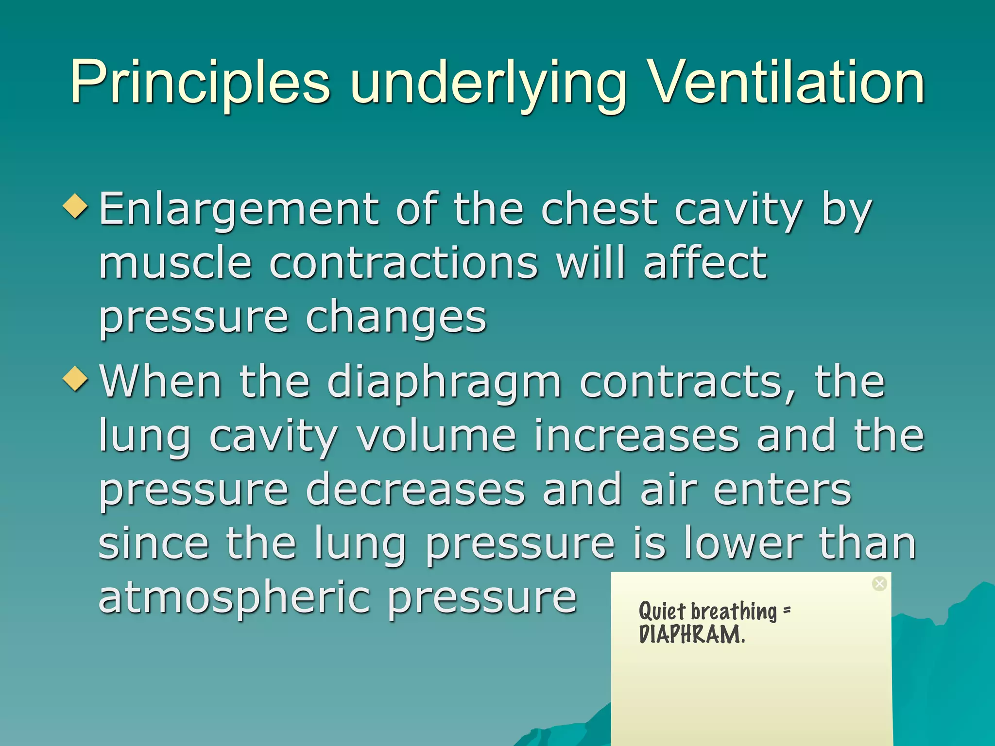 Pulmonary a p s10 | KEY