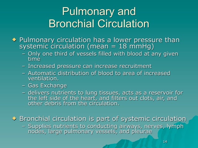 Pulmonary a p s10 | PPT