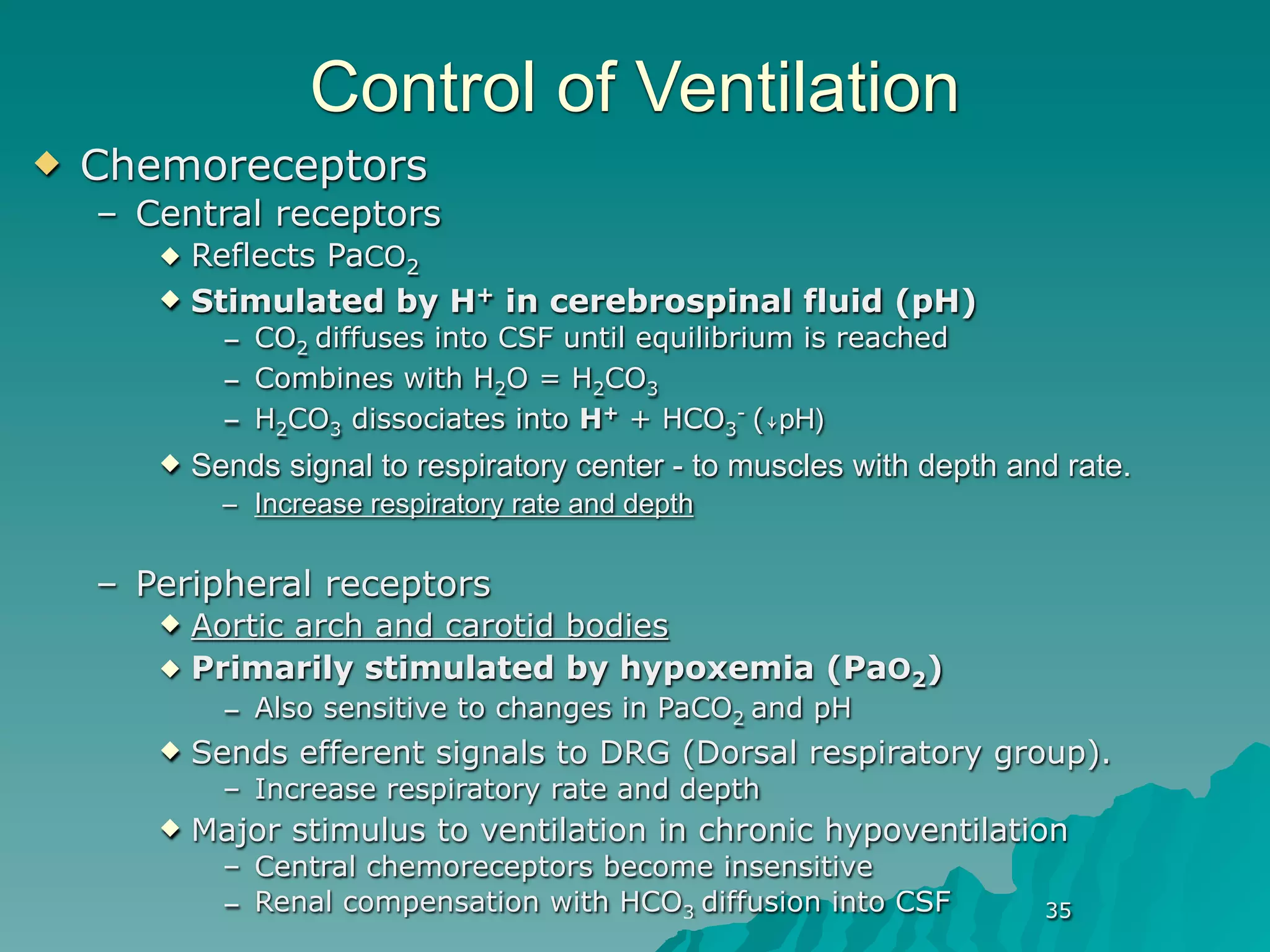Pulmonary a p s10 | KEY