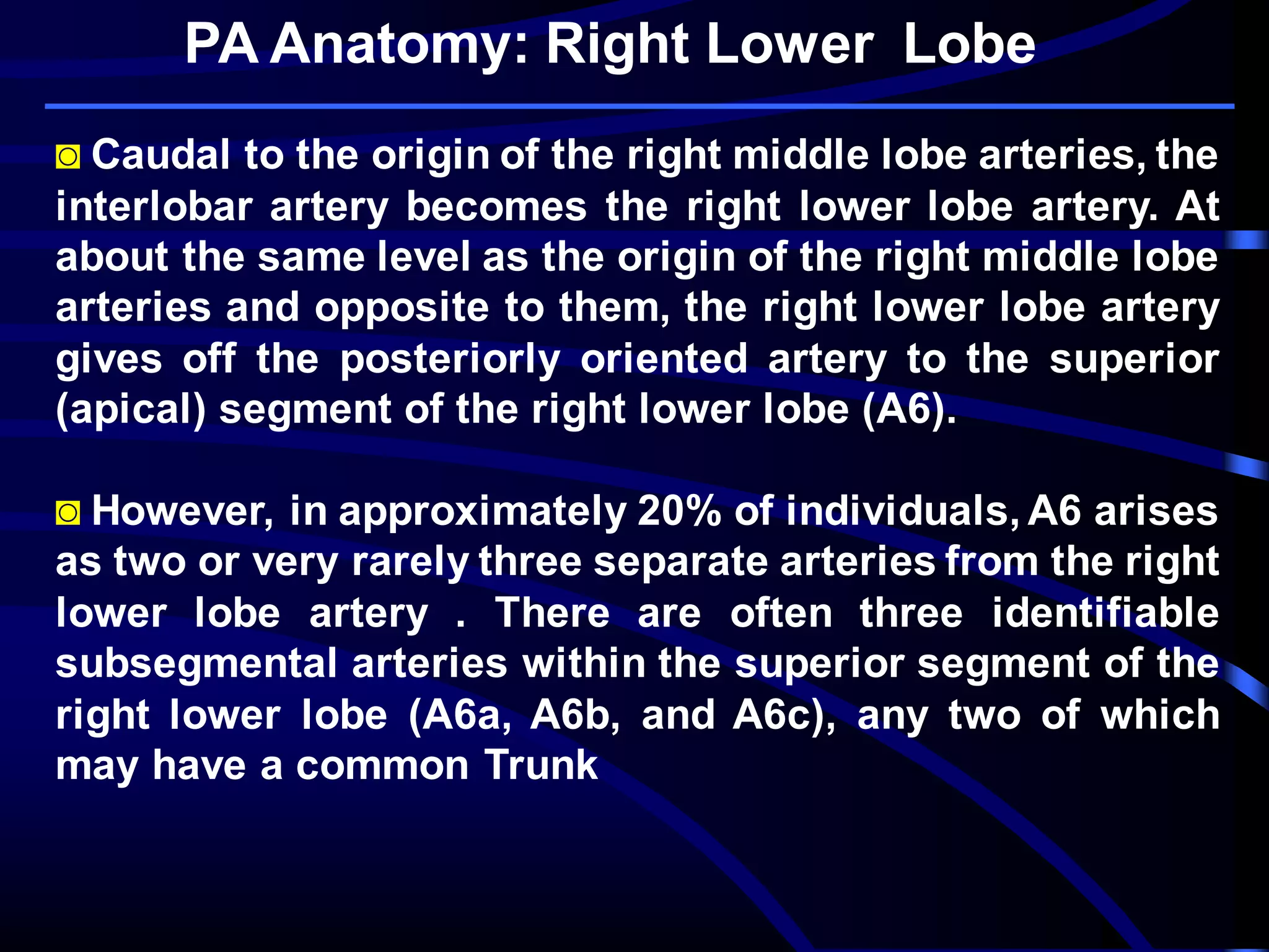 Pulmonary Artery Anatomy and Pulmonary Embolism | PDF