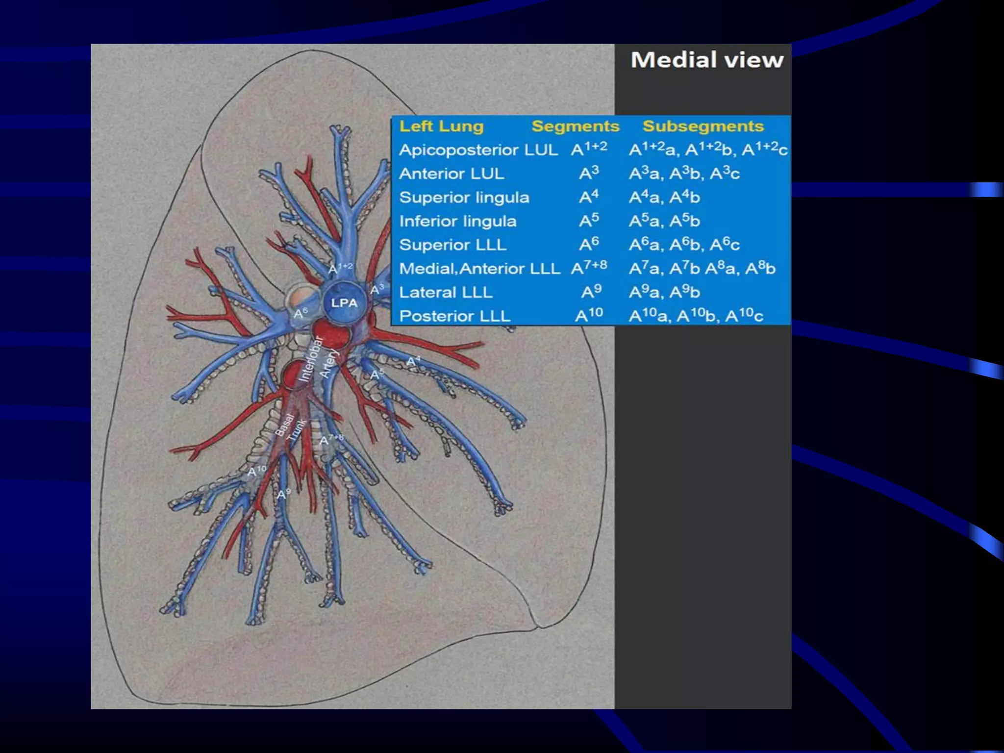 Pulmonary Artery Anatomy and Pulmonary Embolism | PDF