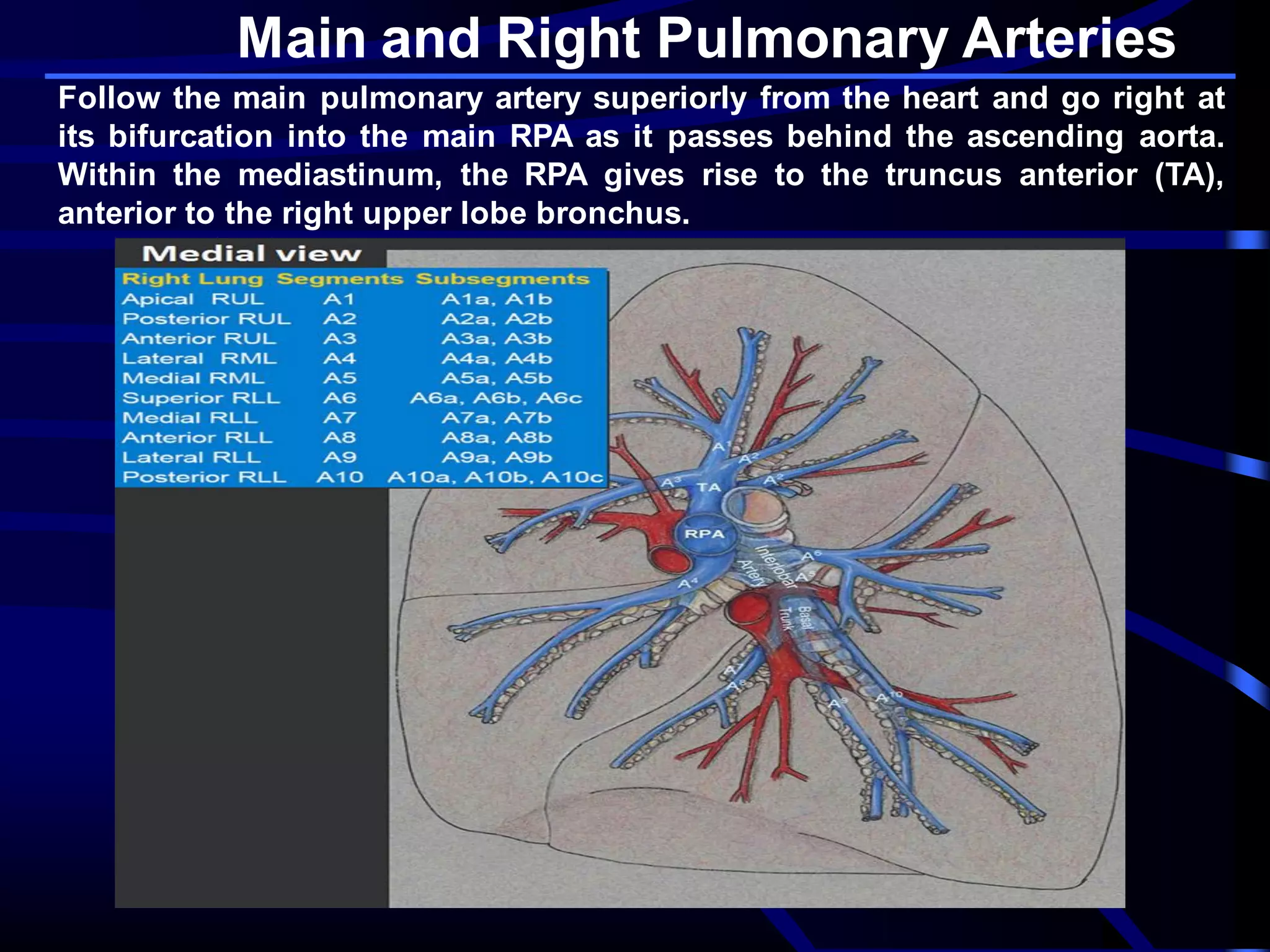 Pulmonary Artery Anatomy and Pulmonary Embolism | PDF