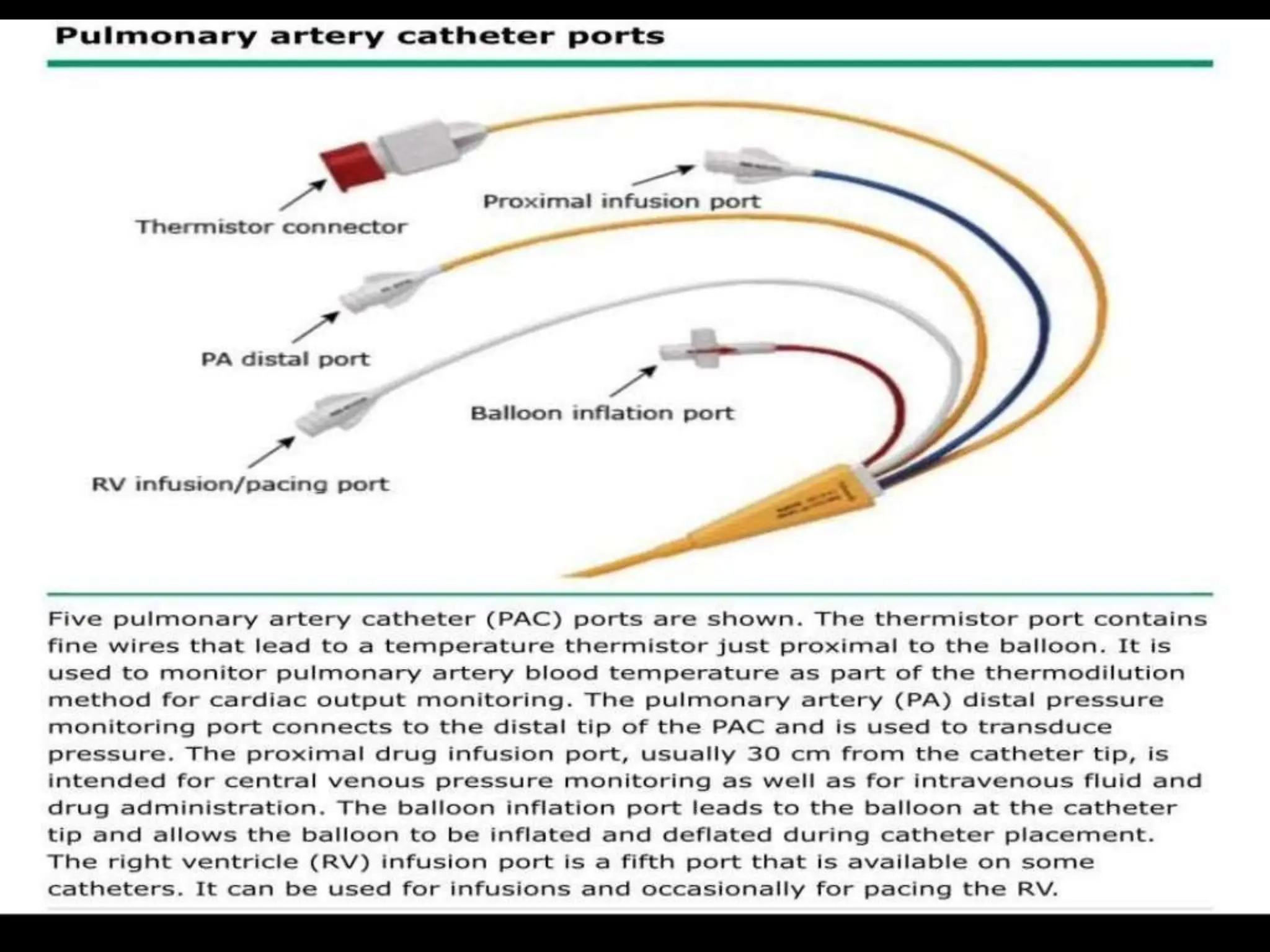 pulmonary artery catheter ppt.pptx