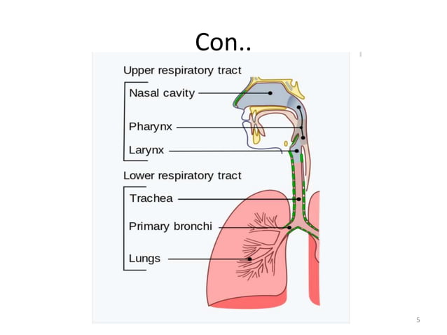 Pulmonary aspiration.pptx | Lung and Respiratory Health | Diseases and ...