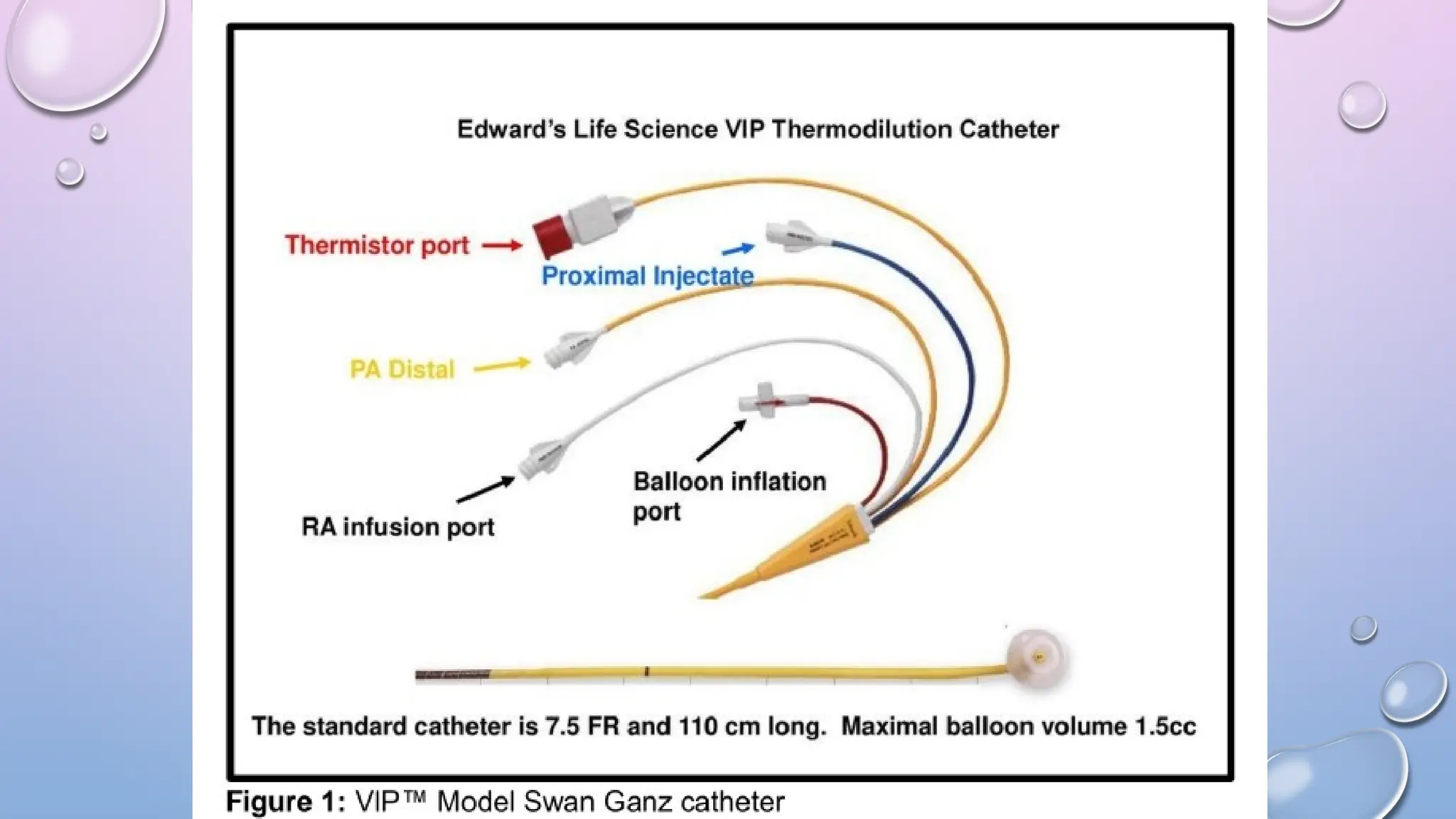 Pulmonary Capillary Wedge Pressure Or PCWP pptx