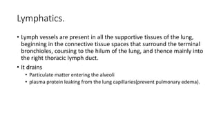 Pulmonary circulation | PPTX