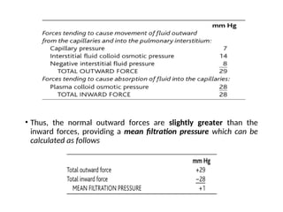 pulmonarycirculation-1711160416power point presentationfor thursday ...