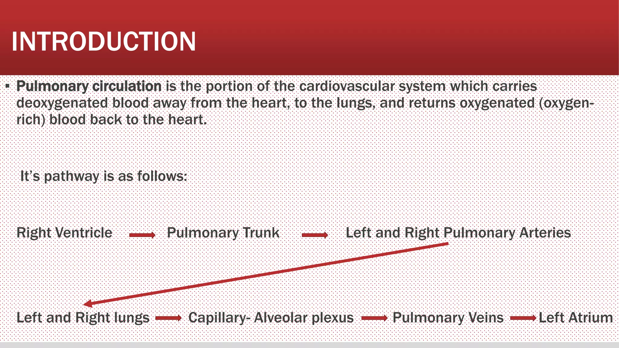 Blood Flow to the Lungs- Pulmonary Circulation | PPTX