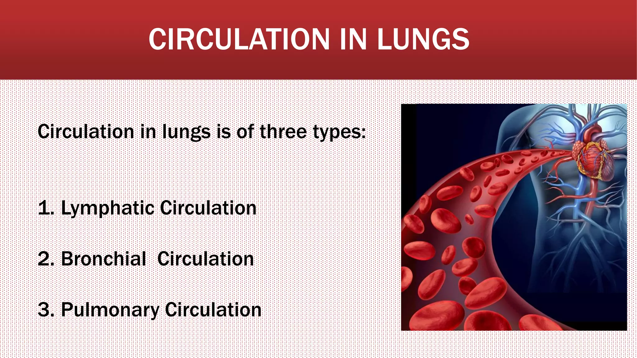 Blood Flow to the Lungs- Pulmonary Circulation | PPTX