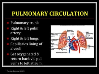 Pulmonary Circuit Pathway