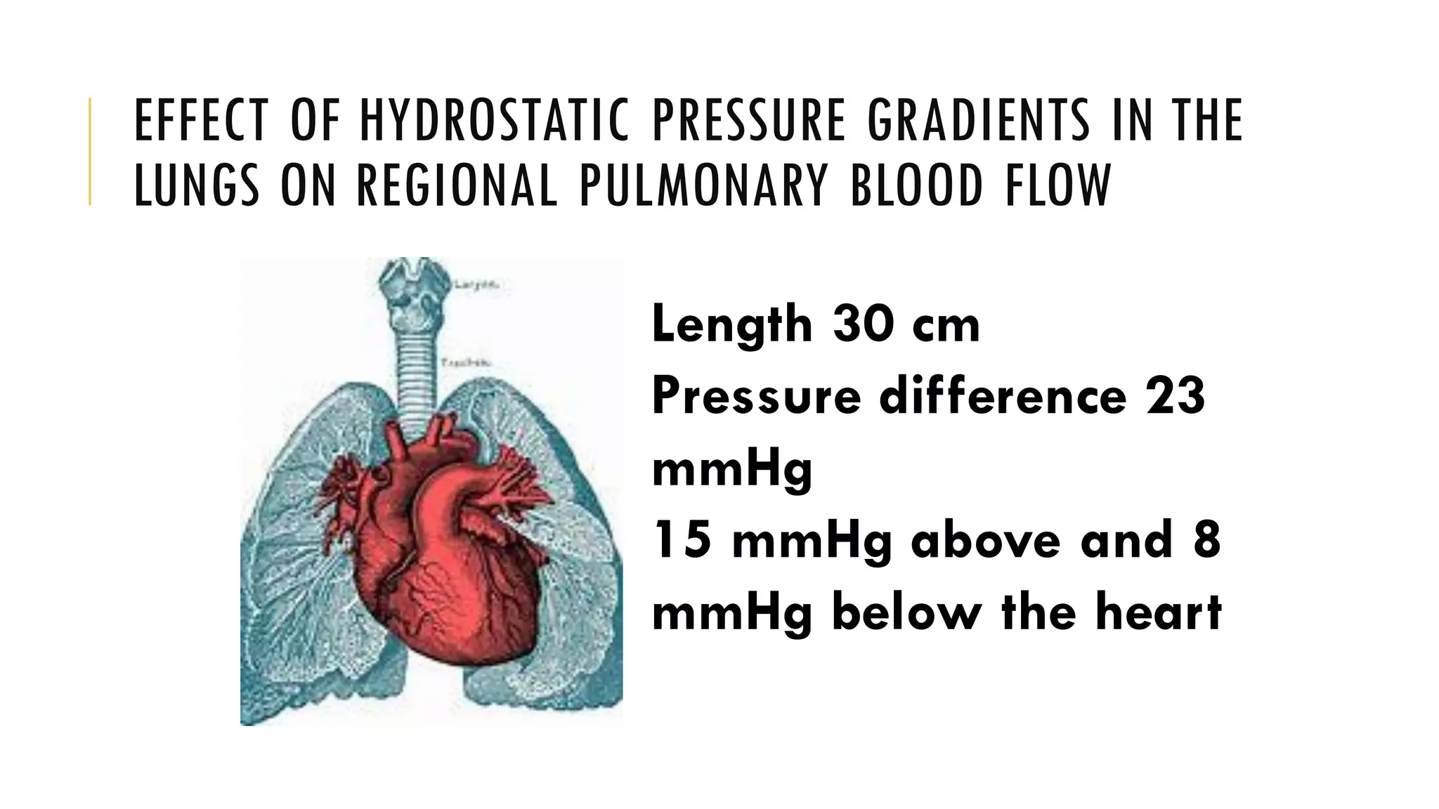 Pulmonary circulation.pdf