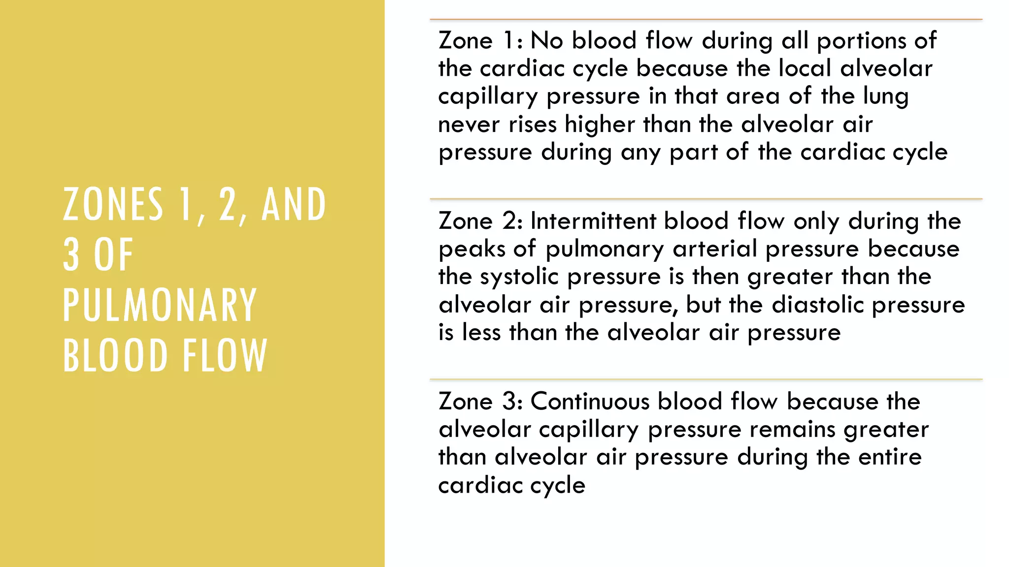 Pulmonary circulation.pdf