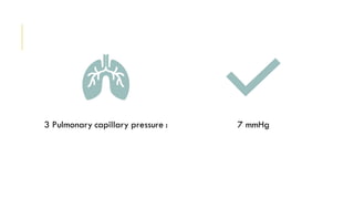Pulmonary circulation.pdf