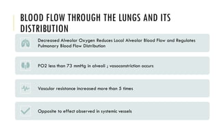 Pulmonary circulation.pdf