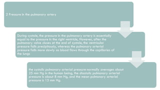 Pulmonary circulation.pdf