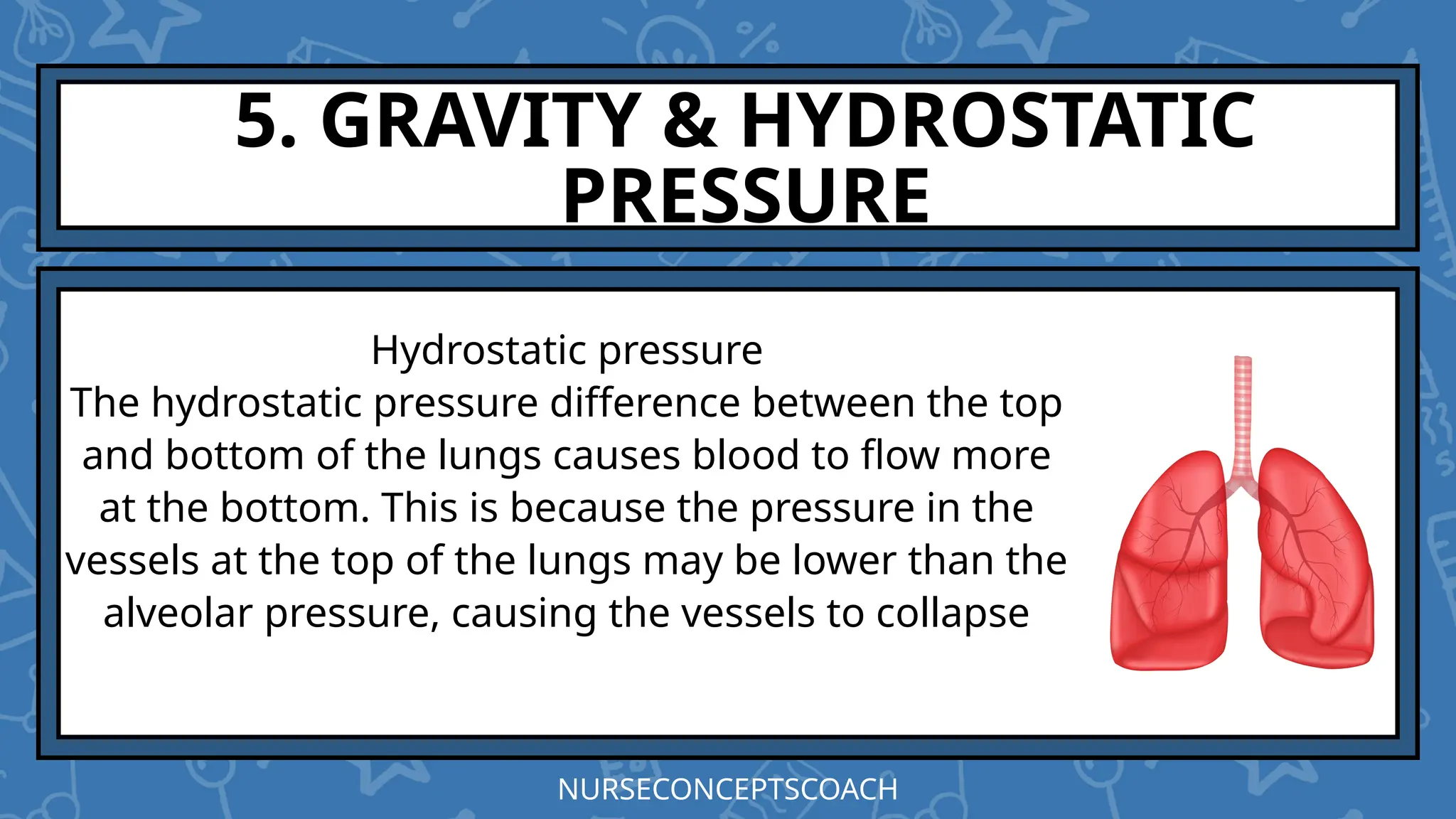 PULMONARY CIRCULATION- Pulmonary artery and vein.pptx