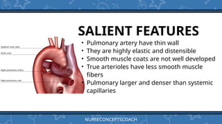 PULMONARY CIRCULATION- Pulmonary artery and vein.pptx