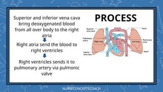 PULMONARY CIRCULATION- Pulmonary artery and vein.pptx