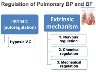 pulmonary circulation physiology of .ppt