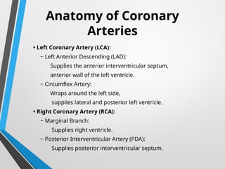 Pulmonary_Circulation and coronary circulation (001).pptx