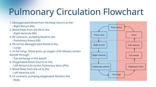 Pulmonary Circulation PPT final for easy | PPTX
