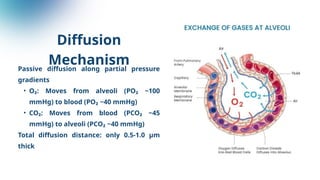Pulmonary Circulation PPT final for easy | PPTX