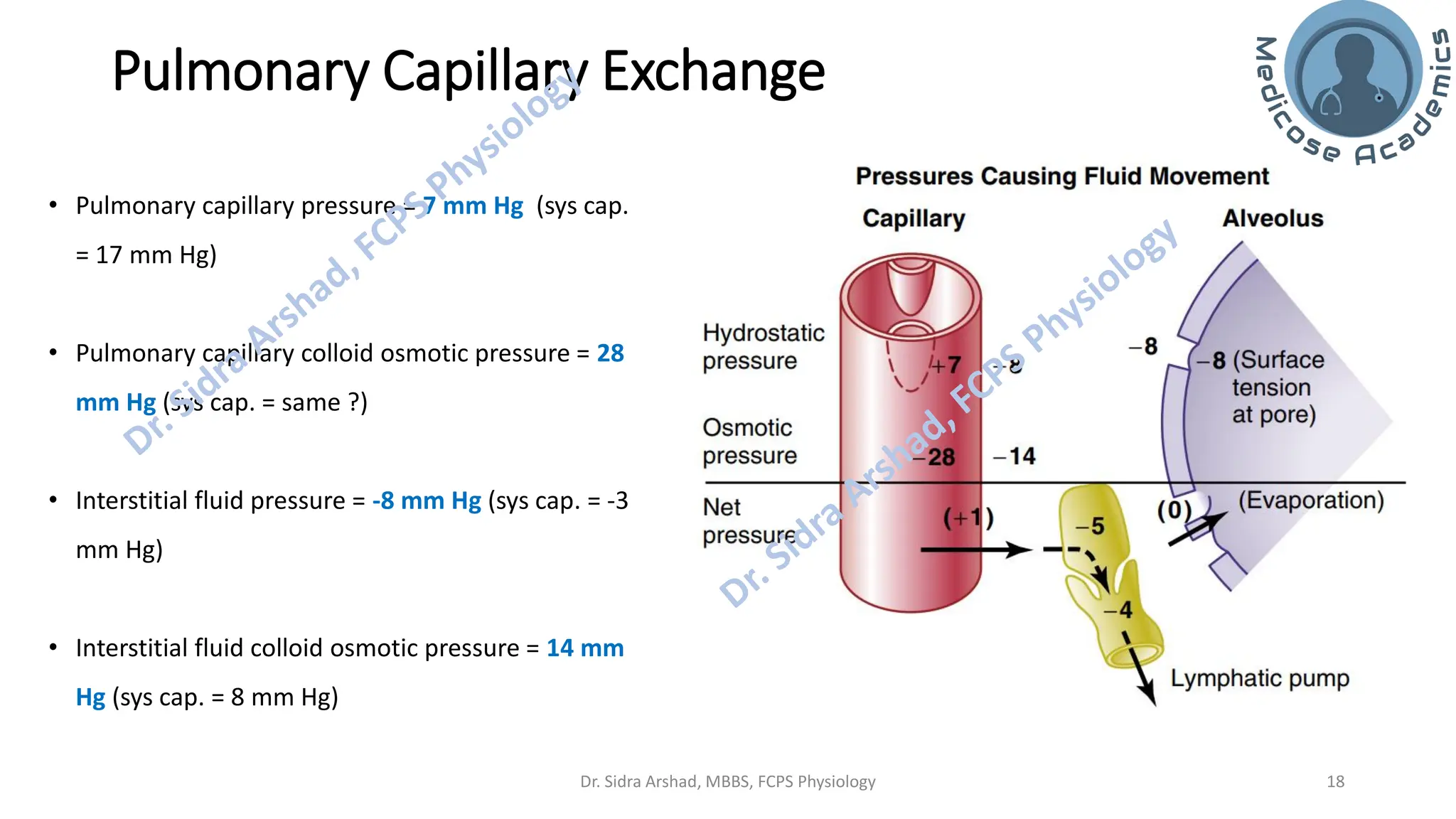 Pulmonary Circulation, Pulmonary Edema, and Pleural Fluid.pdf