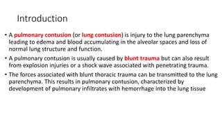 Contusion Definition