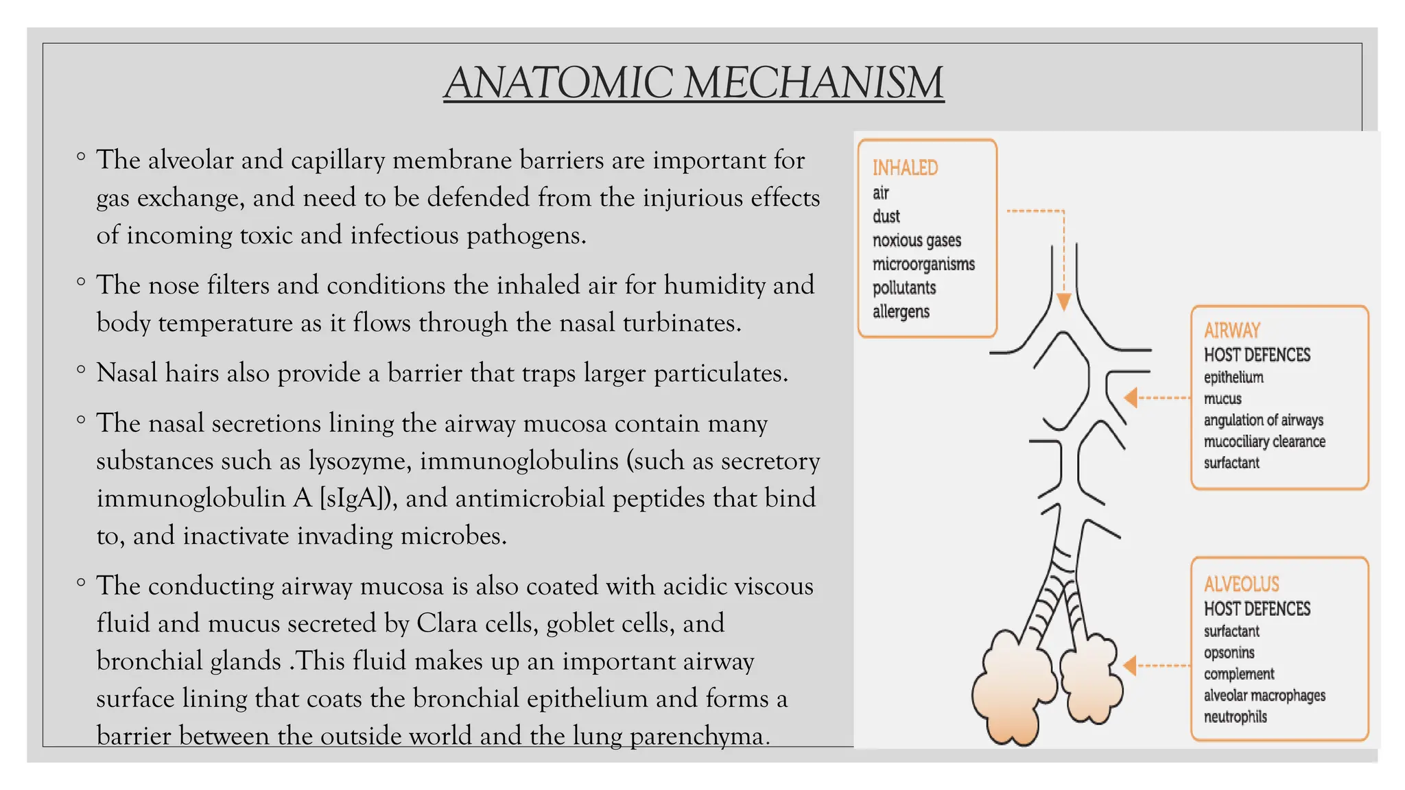 PULMONARY DEFENSE MECHANISM Pulmonary.pptx