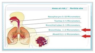 PULMONARY DEFENSE MECHANISM Pulmonary.pptx