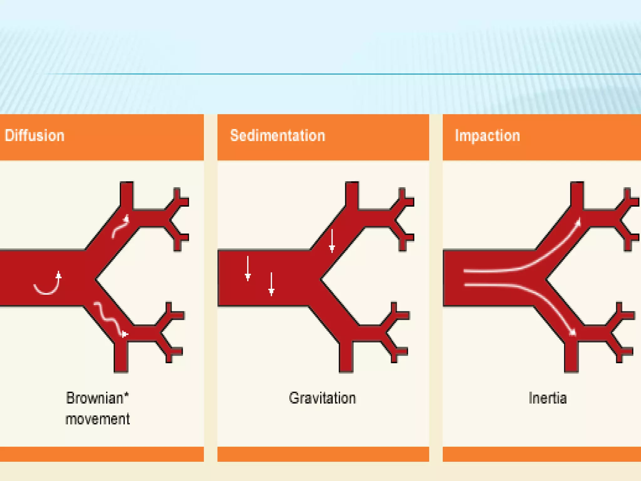 Pulmonary defense mechanisms | PPSX