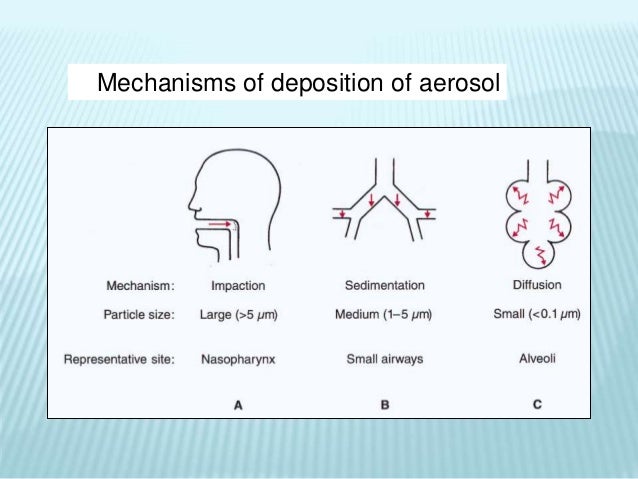 Pulmonary defense mechanisms