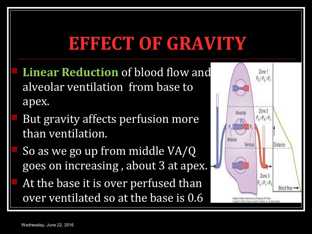 PULMONARY DIFFUSION pulmonary-diffusion