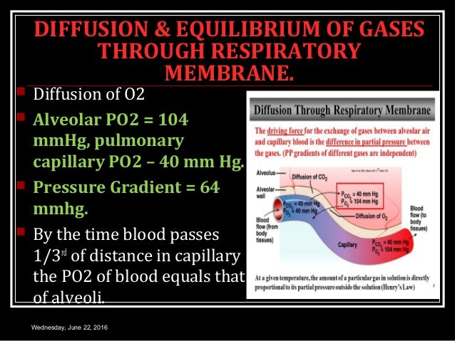 PULMONARY DIFFUSION