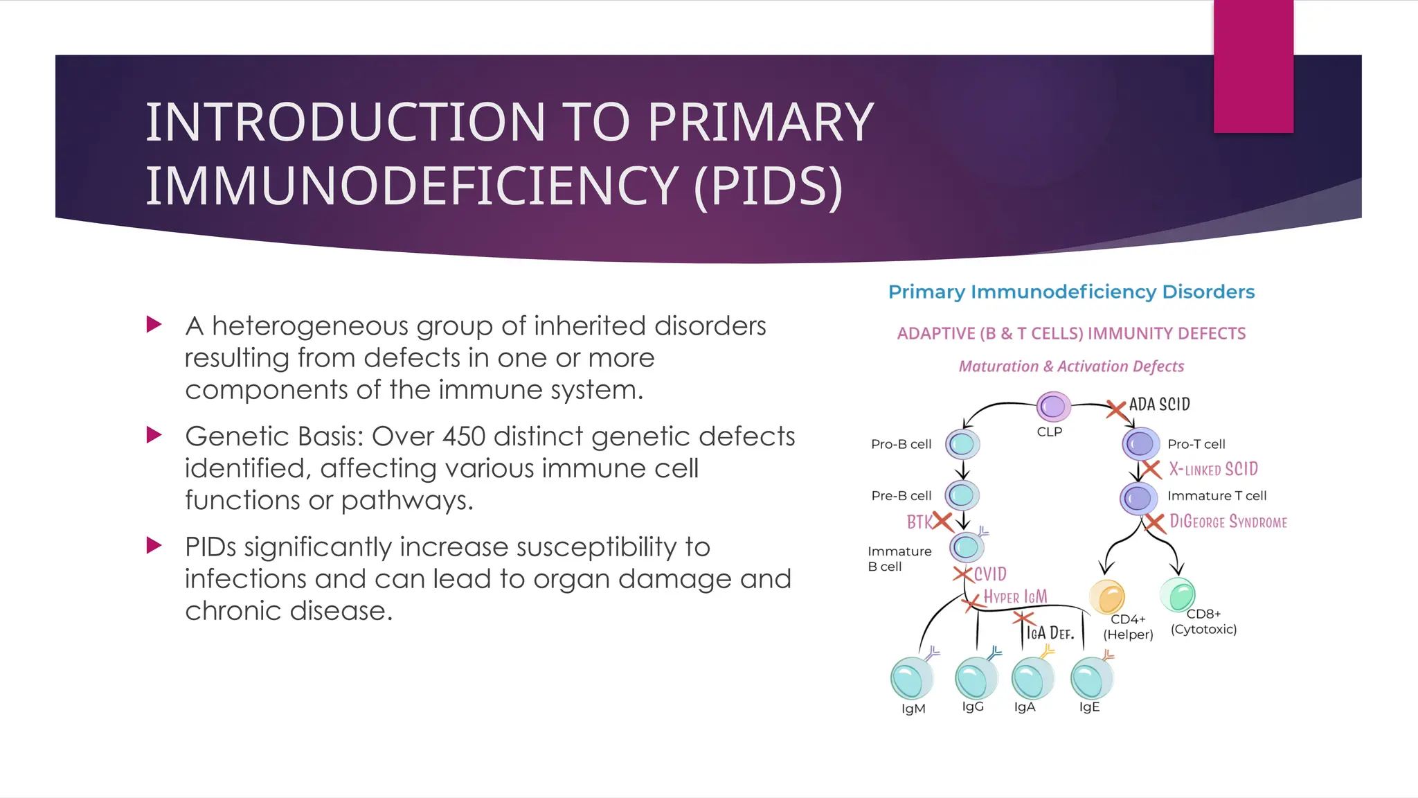 Pulmonary Manifestation Of Primary Immunodeficiency Pptx