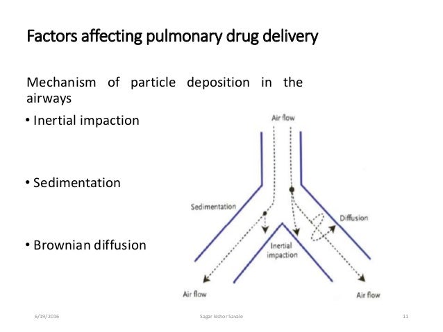 Pulmonary drug delivery system [PDDS]