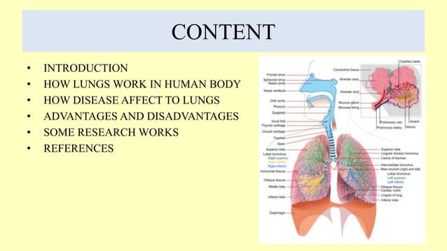 PULMONARY DRUG DELIVERY SYSTEM.pptx