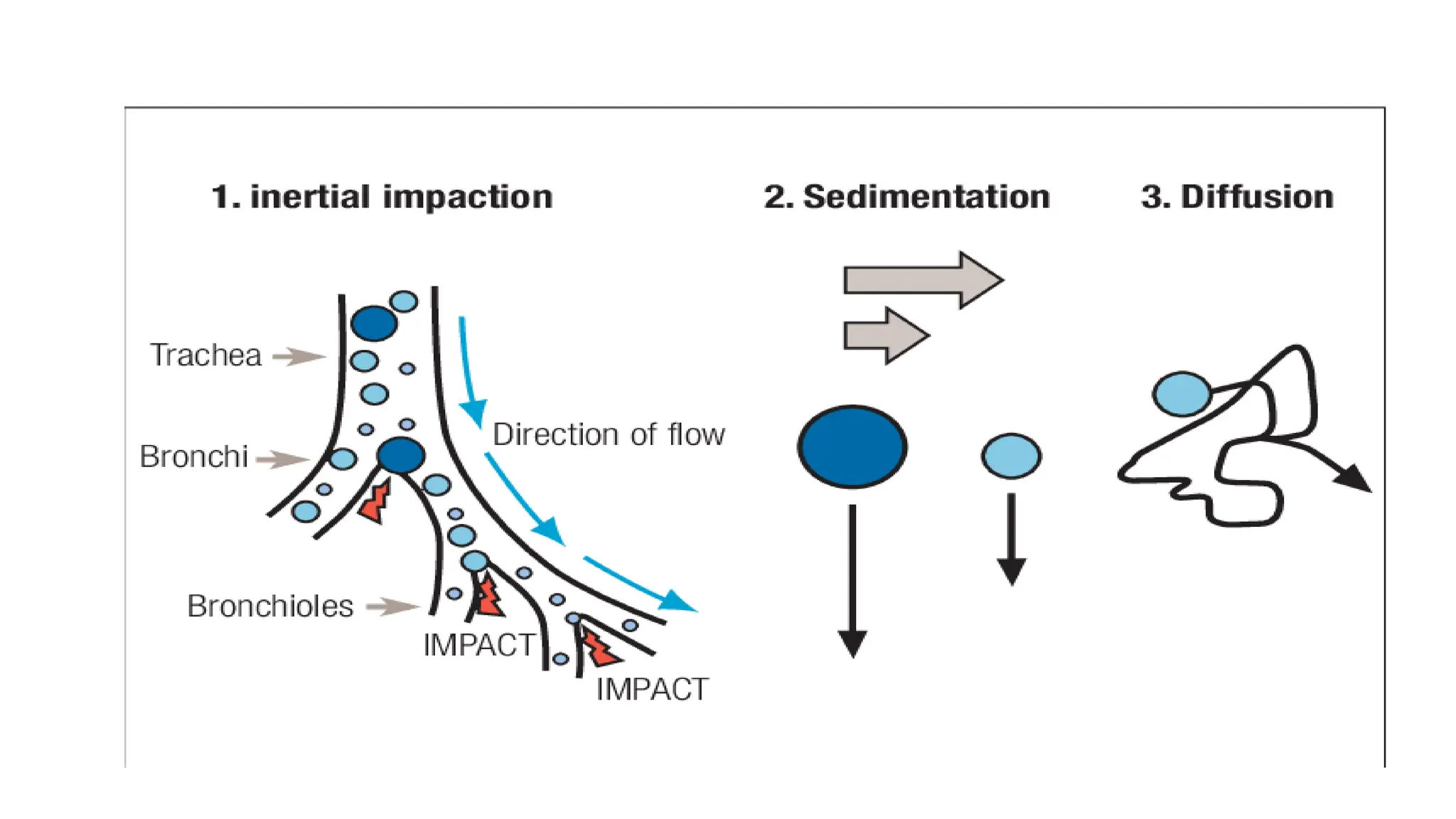 Pulmonary drug delivery system M.pharm -2nd sem P'ceutics | PPTX