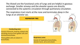 Pulmonary drug delivery system M.pharm -2nd sem P'ceutics | PPTX