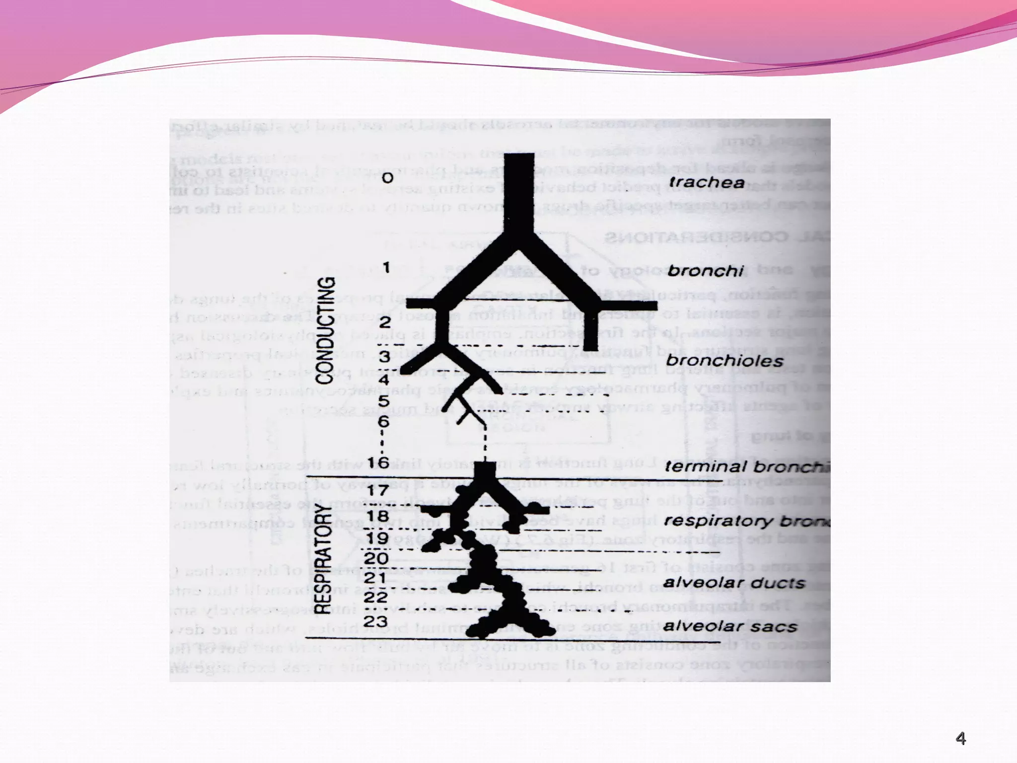 Pulmonary drug delivery system1 | PPT
