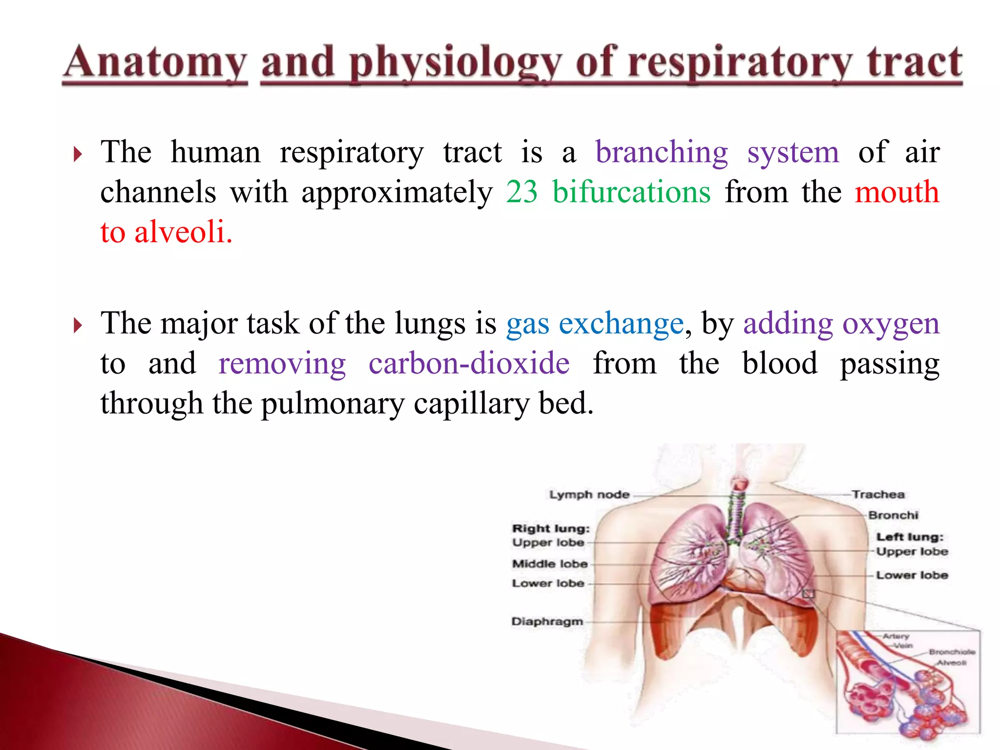 Pulmonary drug delivery system by mali vidhya v | PPTX