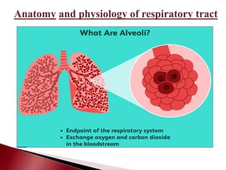 Pulmonary drug delivery system by mali vidhya v | PPTX