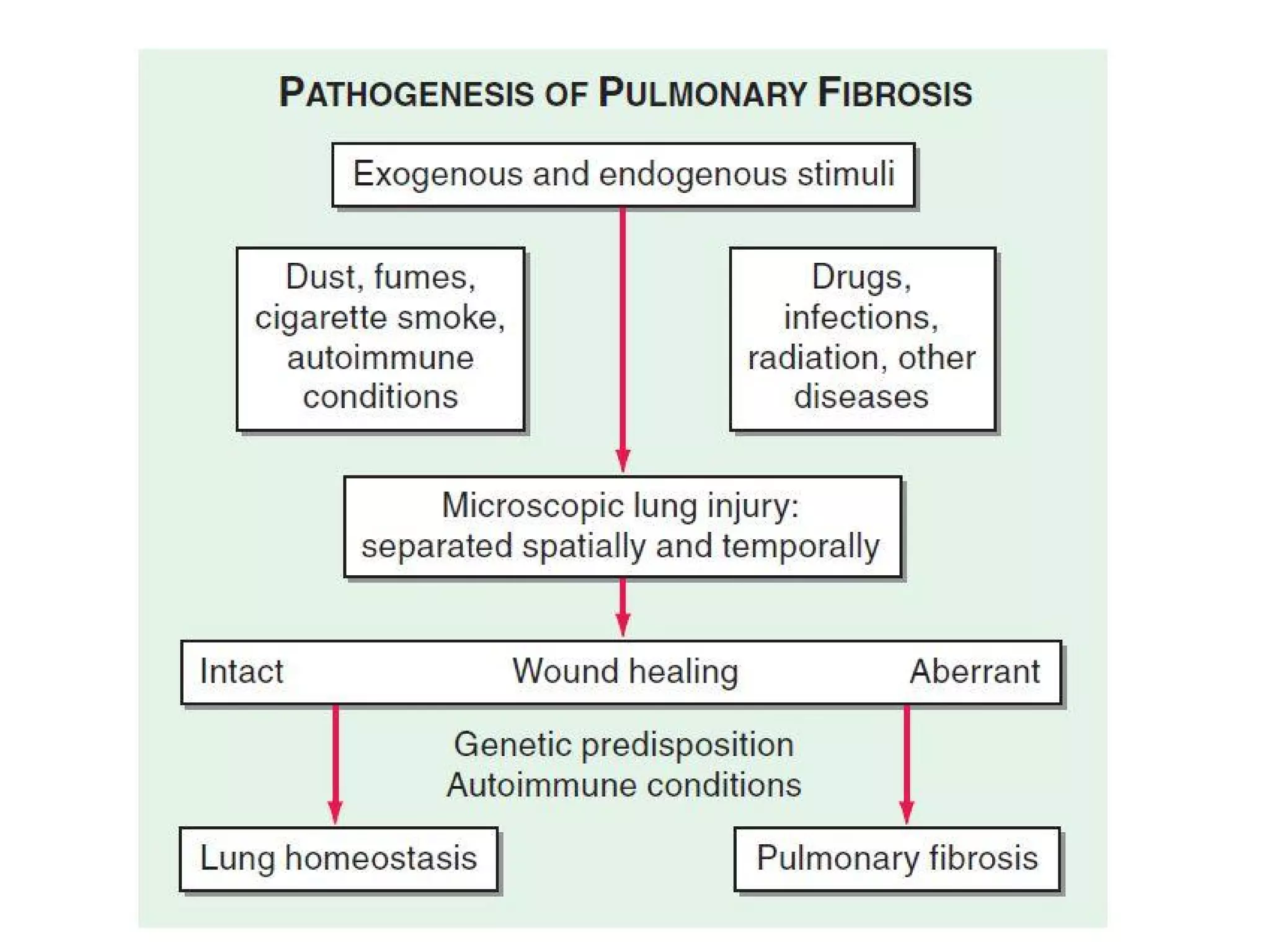 Pulmonary fibrosis | PDF
