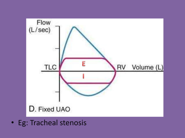 Pulmonary Flow Volume Loops.. Dr.Padmesh | PPTX | Lung and Respiratory ...
