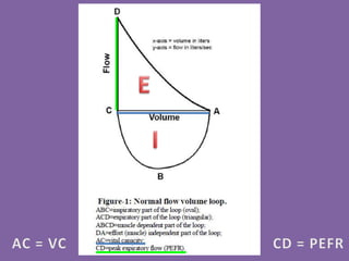 Pulmonary Flow Volume Loops.. Dr.Padmesh | PPTX