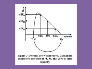 Pulmonary Flow Volume Loops.. Dr.Padmesh | PPTX