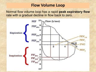 Pulmonary function testing (spirometry ) | PDF