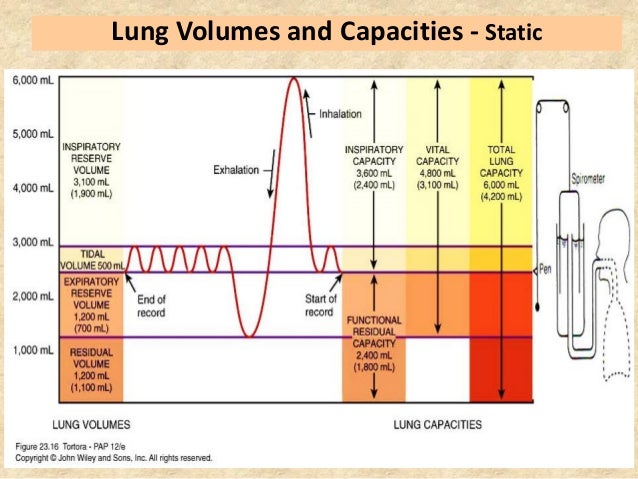 Pulmonary function testing (spirometry )