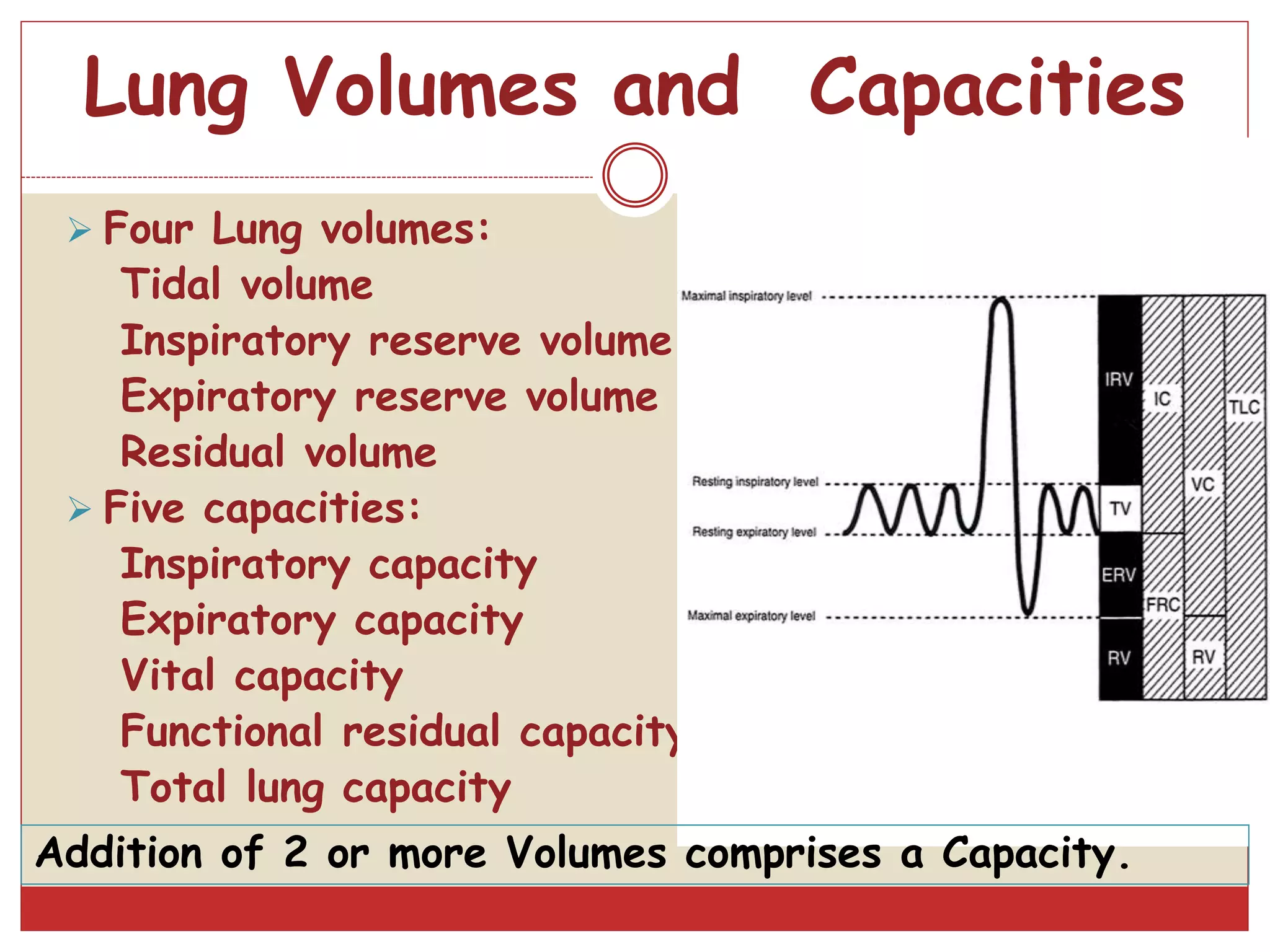 Pulmonary function test | PDF
