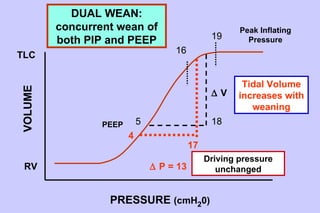 Pulmonary Function Tutorial,Bhutani | PPT